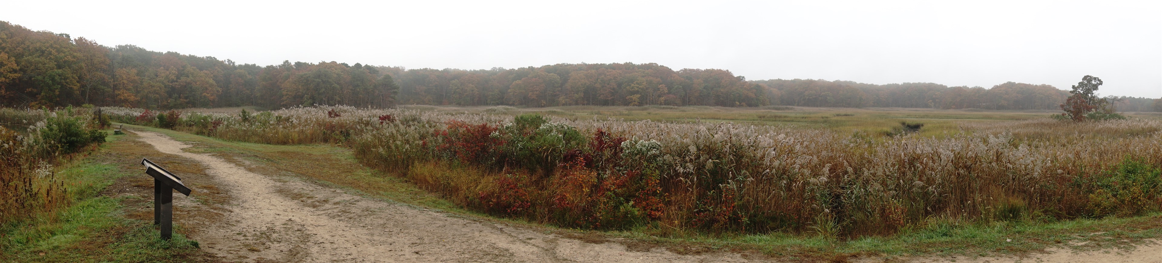 Locations Hub - Cheesequake State Park - Hooks Creek Lake Day Use Area