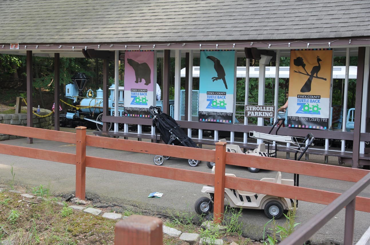 Locations Hub - Turtle Back Zoo - Turtle Back Junction