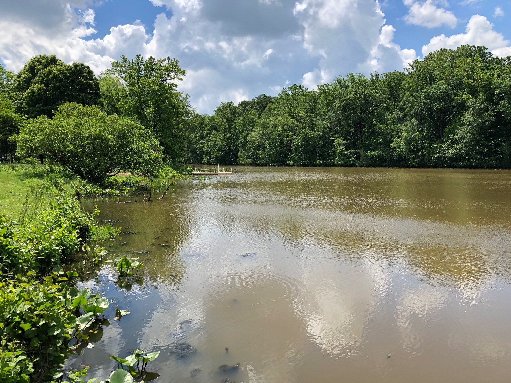 Locations Hub - Strawbridge Lake Park