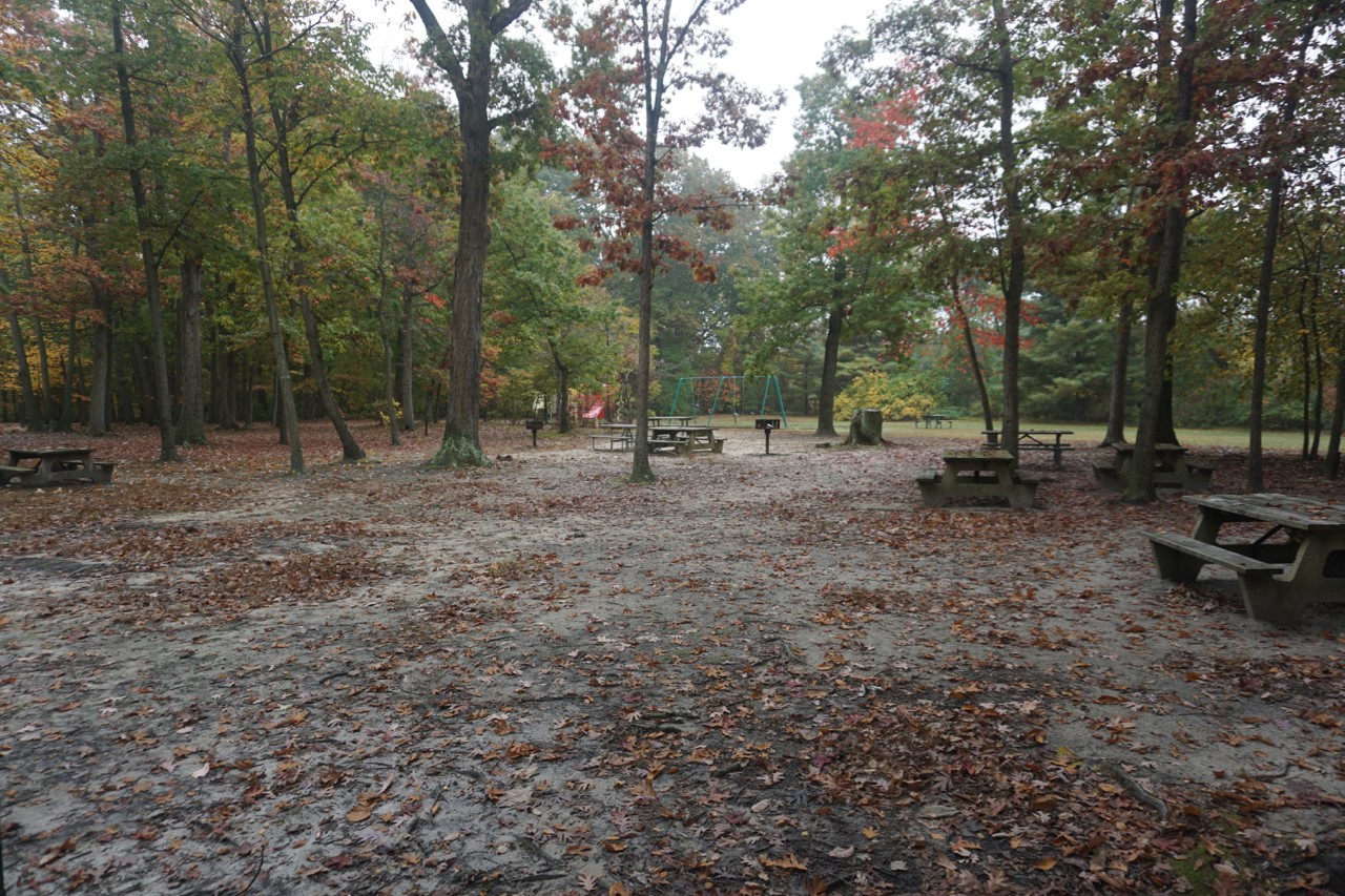 Locations Hub - Cheesequake State Park - Spring Hill Picnic Area