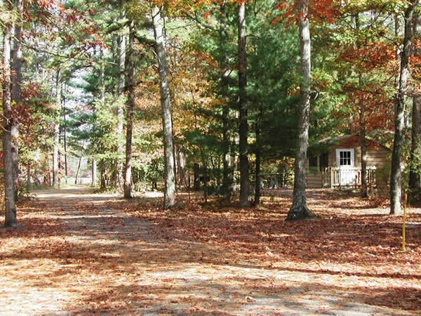 Locations Hub - Belleplain State Forest