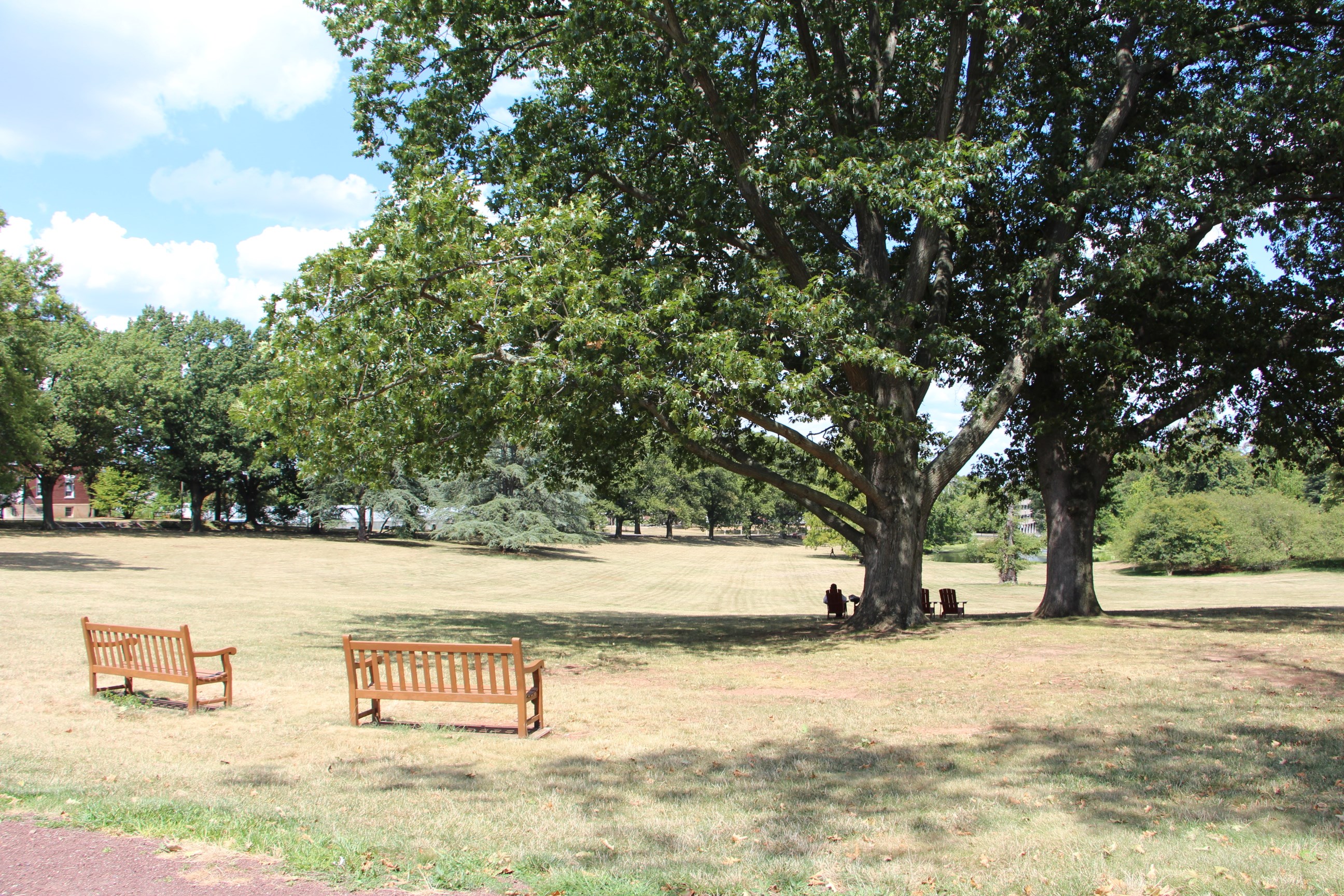 Locations Hub - Rutgers University, Cook-Douglass Campus