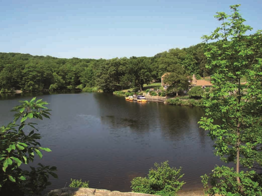 Locations Hub - Silas Condict Park