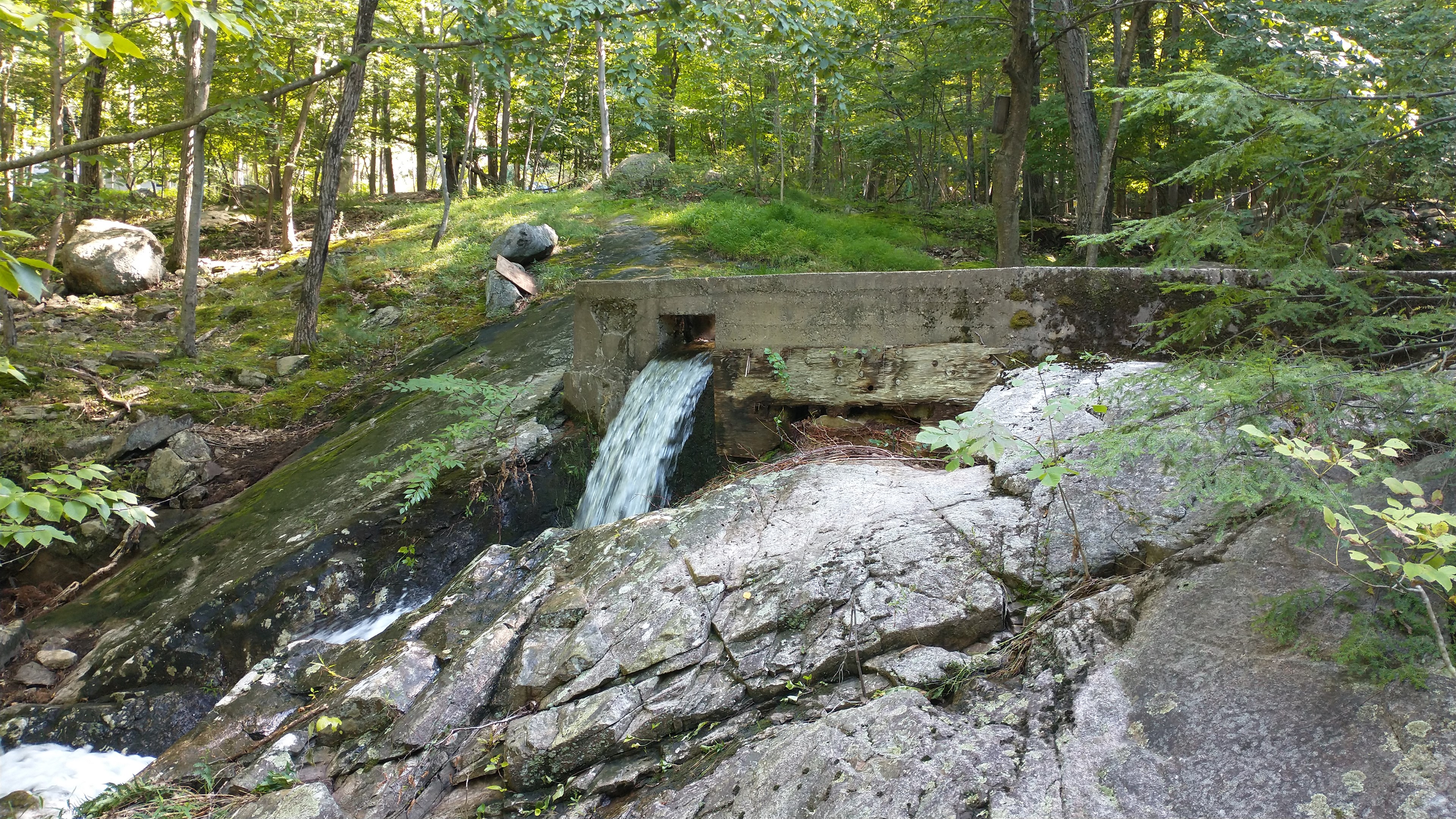 Locations Hub - Highlands Natural Pool