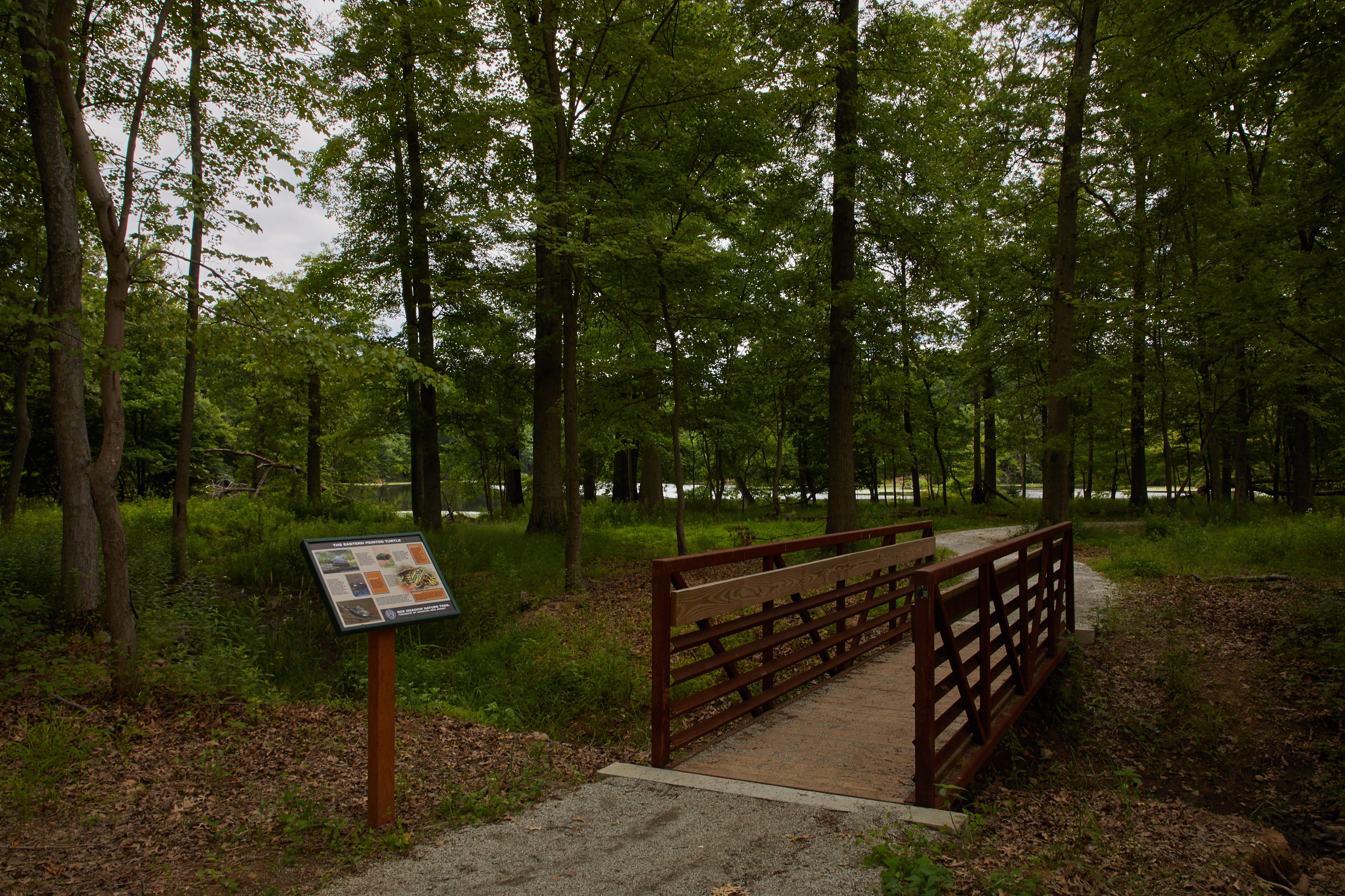 Locations Hub - Bee Meadow Park/Brickyard Field