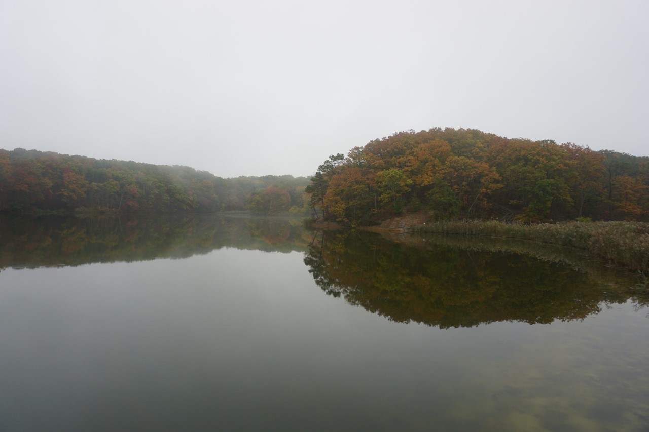 Locations Hub - Cheesequake State Park - Hooks Creek Lake Day Use Area