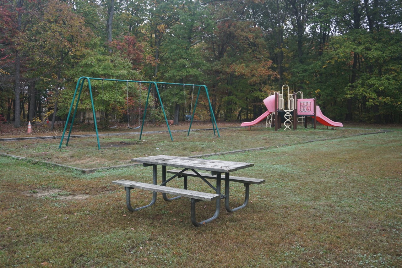 Locations Hub - Cheesequake State Park - Spring Hill Picnic Area
