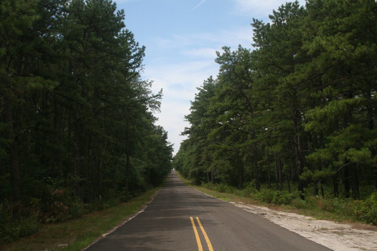 Locations Hub - Wharton State Forest - Washington Turnpike