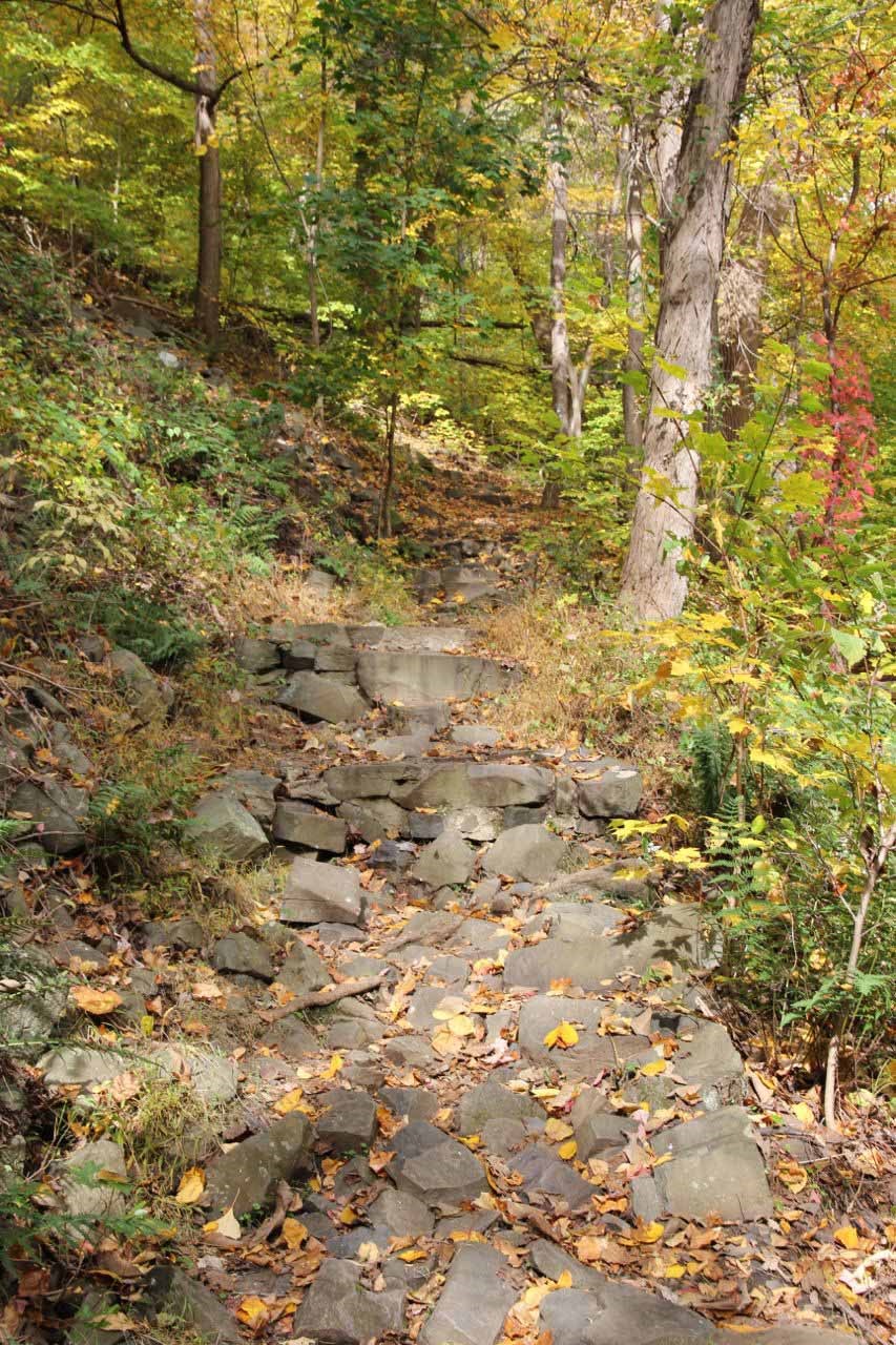 Locations Hub - Palisades Interstate Park - Forest View Trail/Giant Stairs