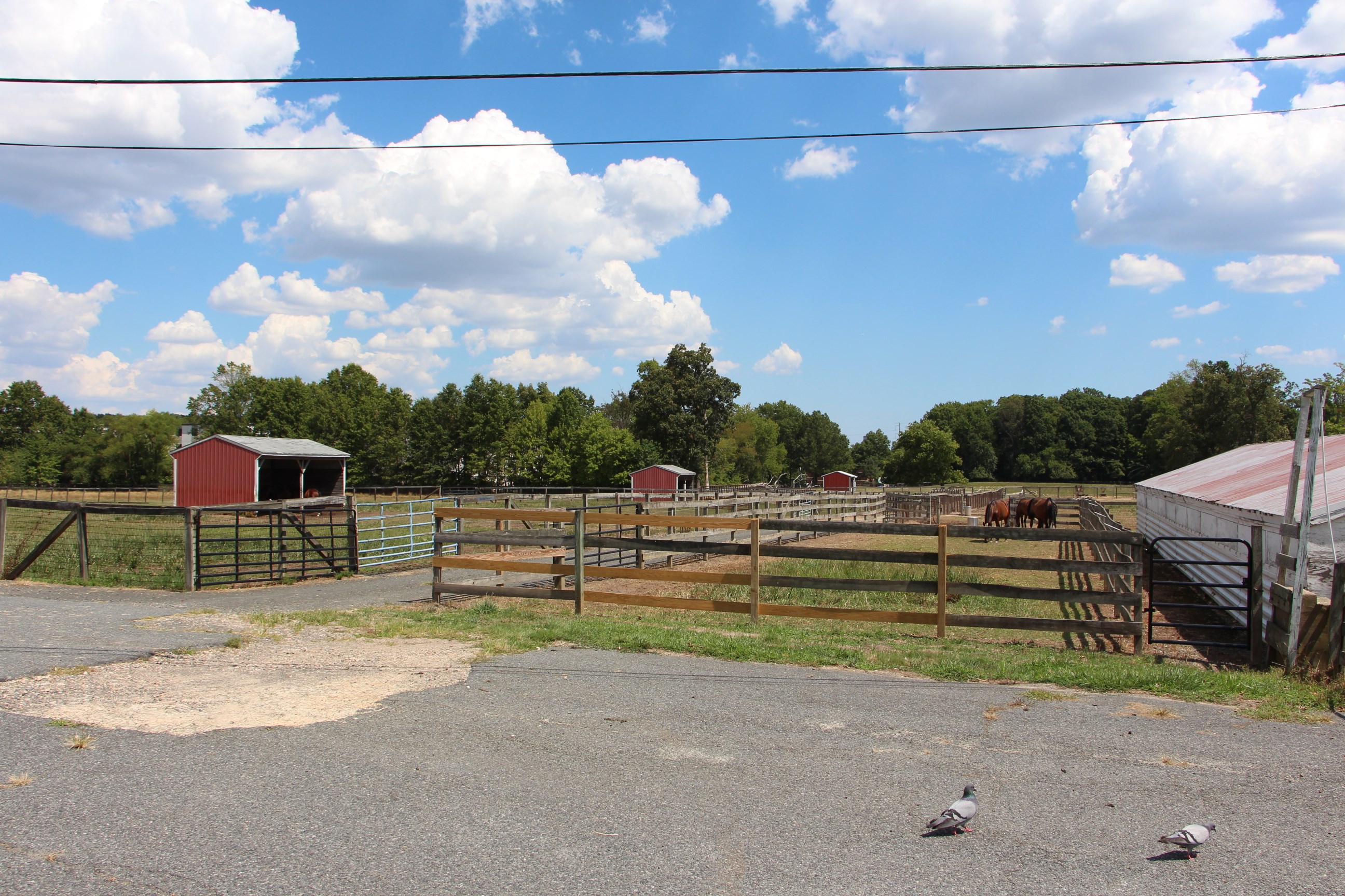 Locations Hub - Rutgers University, Cook-Douglass Campus - Rutgers Farm