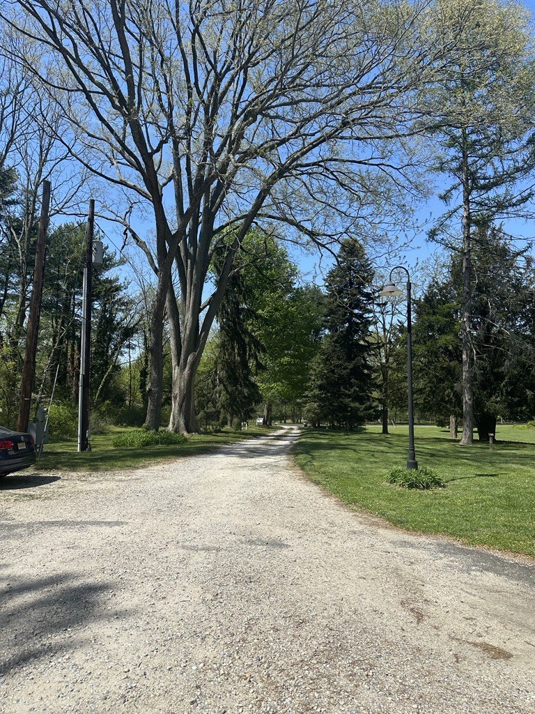 Locations Hub - Paulsdale