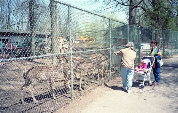 Locations Hub - Johnson Park Zoo