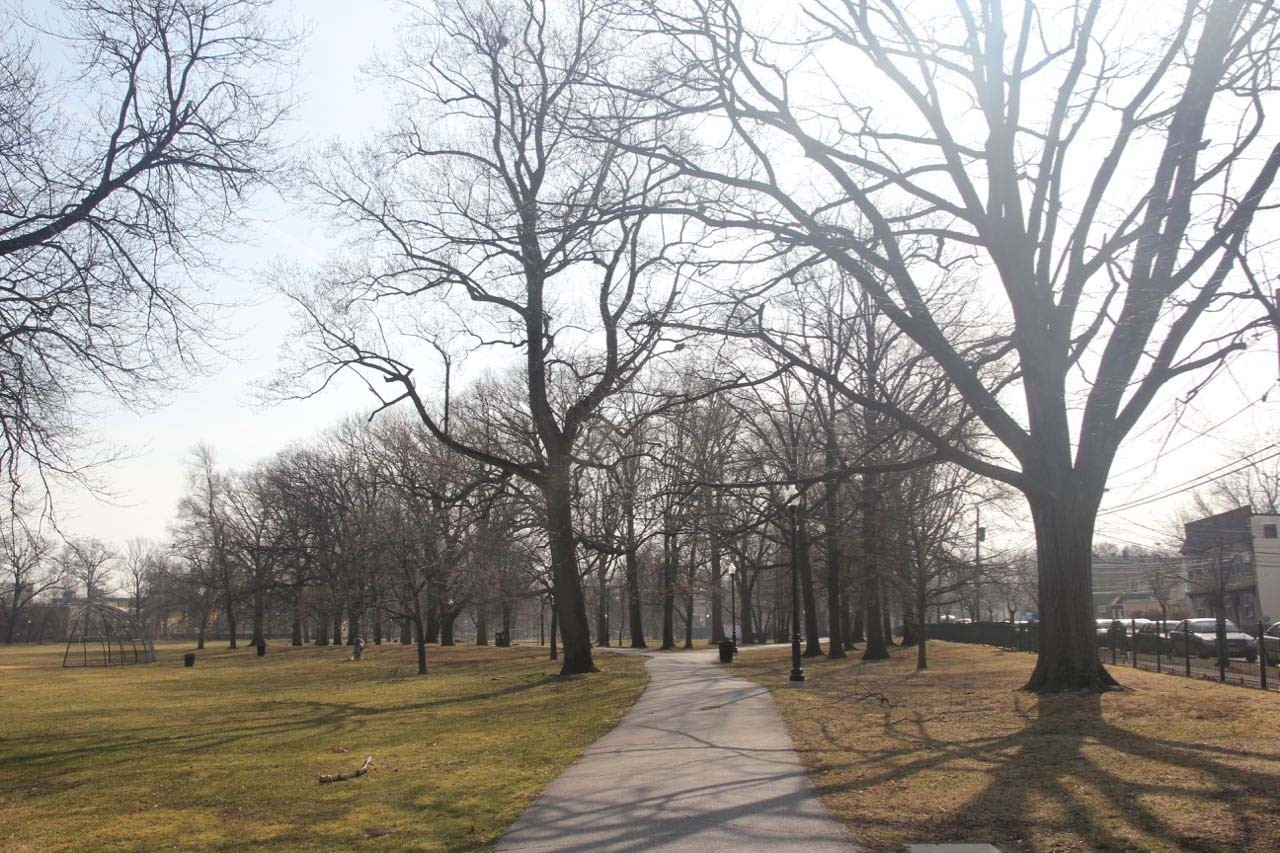 Locations Hub - Watsessing Park - Bloomfield Area