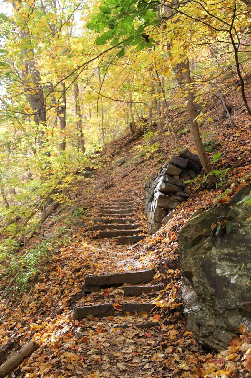 Locations Hub - Palisades Interstate Park - Forest View Trail/Giant Stairs