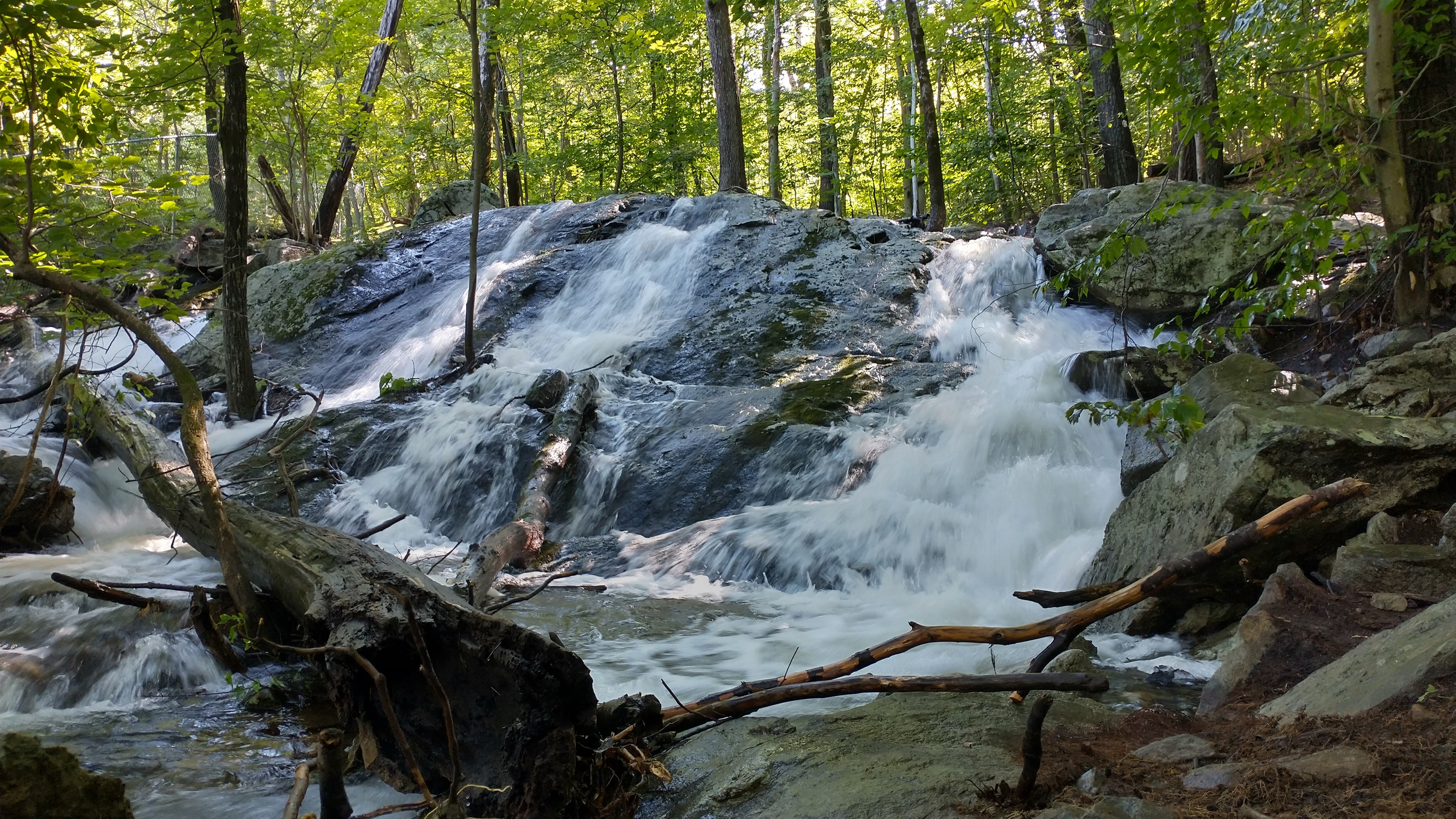 Locations Hub - Highlands Natural Pool