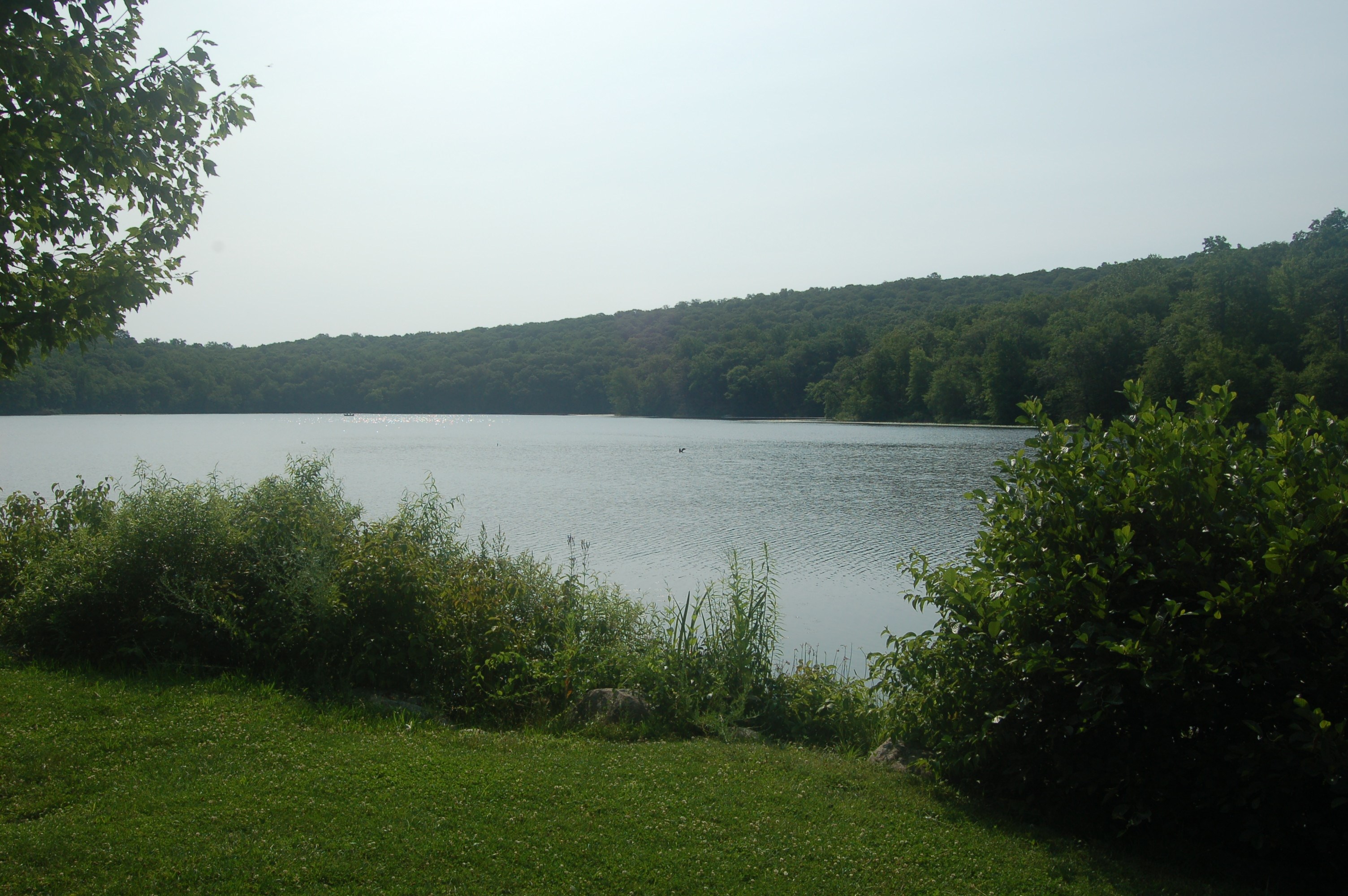 Locations Hub - Ringwood State Park - Shepherds Lake