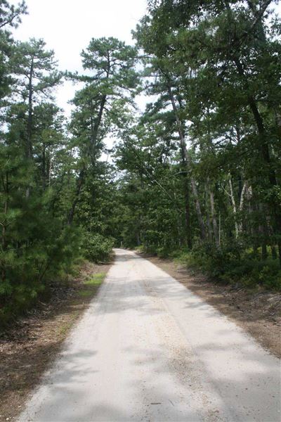 Locations Hub - Wharton State Forest - Washington Turnpike