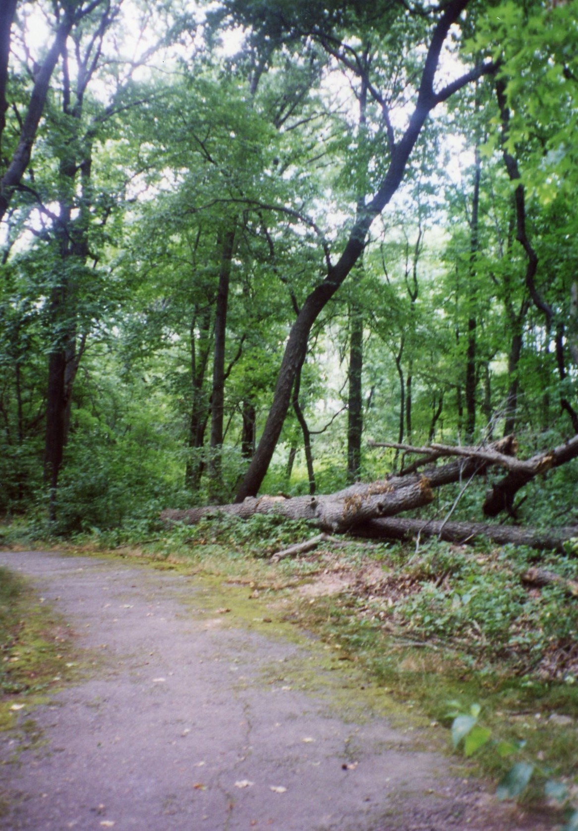 Locations Hub - William Warren Park