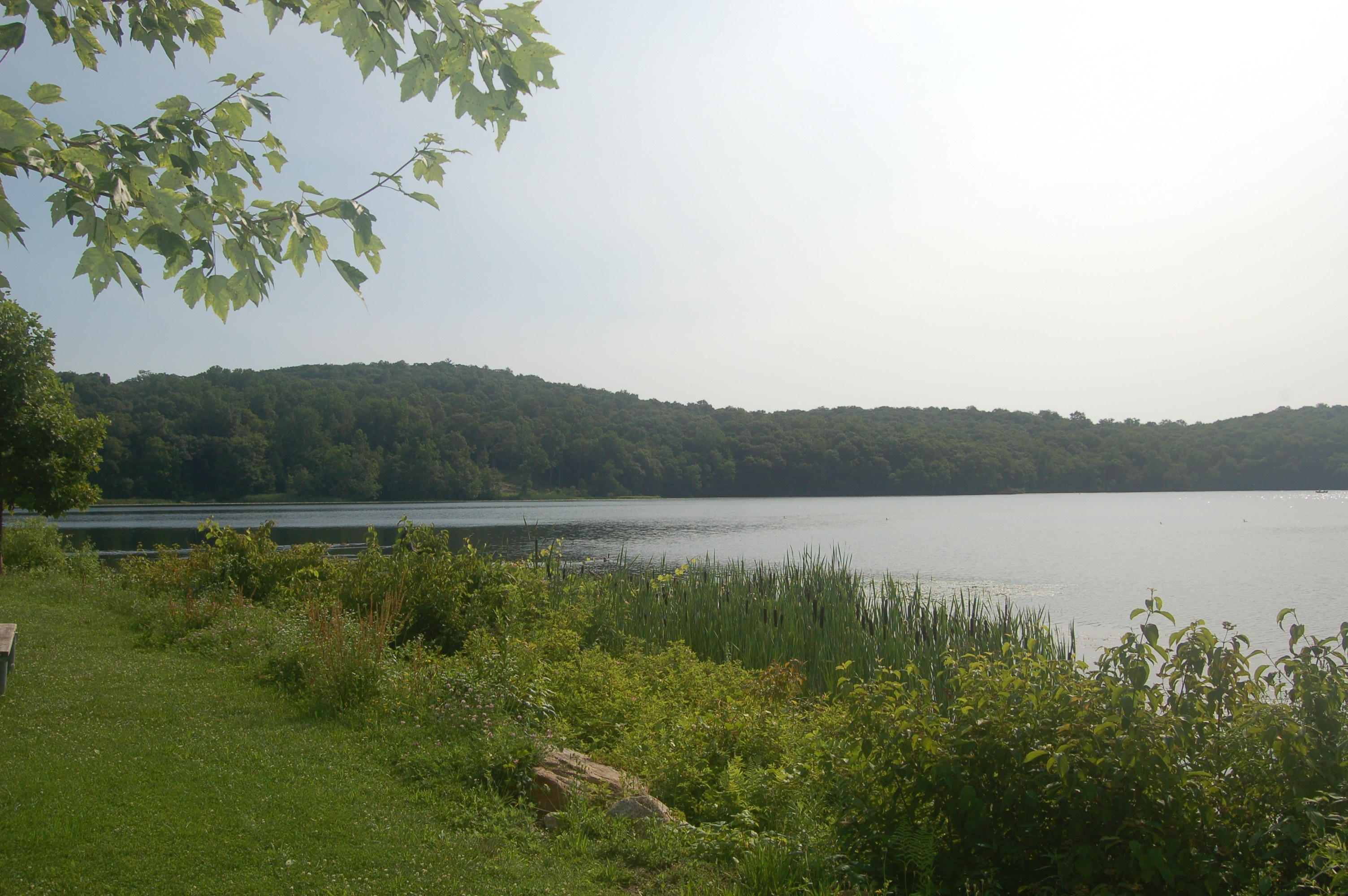 Locations Hub - Ringwood State Park - Shepherds Lake