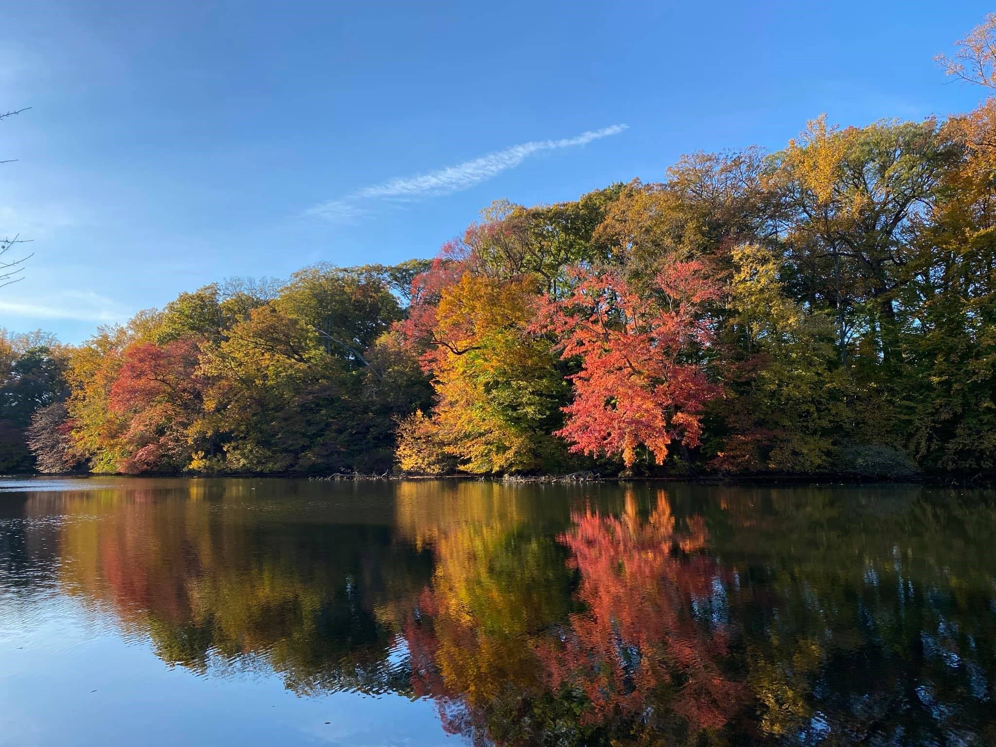 Locations Hub - Hopkins Pond