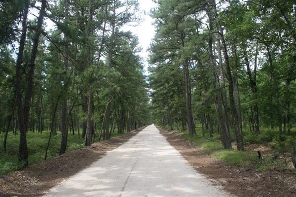 Locations Hub - Wharton State Forest - Washington Turnpike