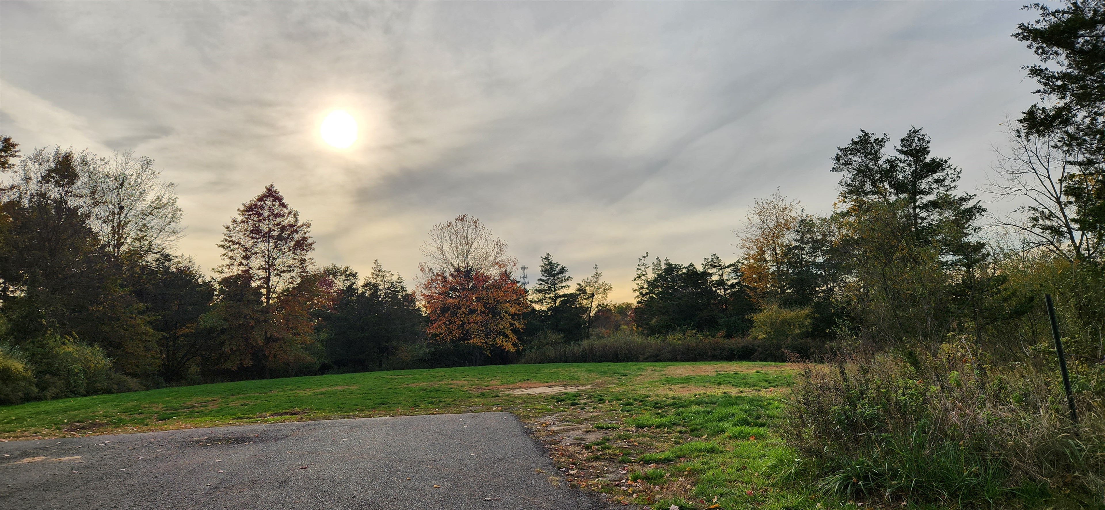 Locations Hub - Middlebush Park