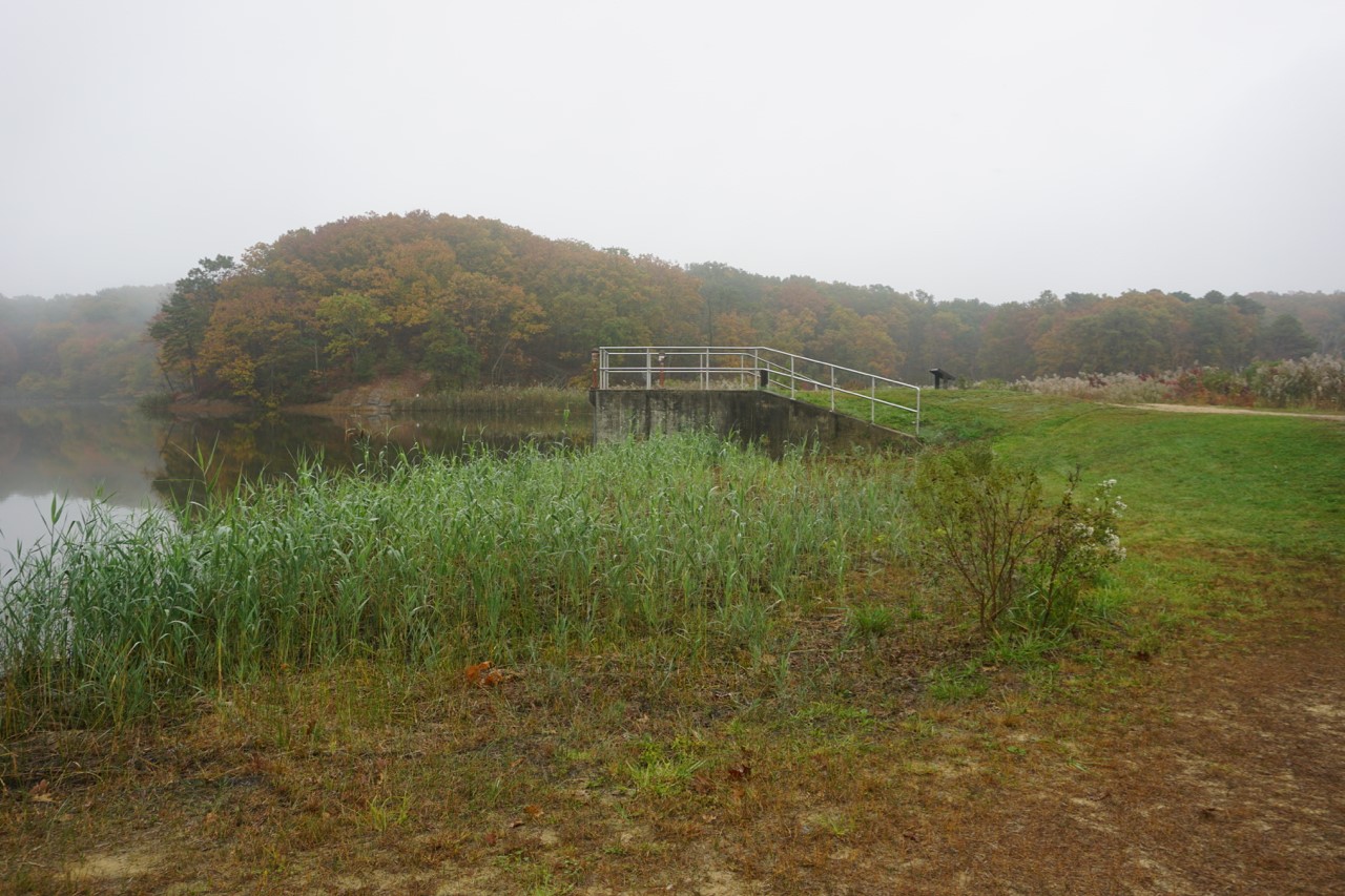 Locations Hub - Cheesequake State Park - Hooks Creek Lake Day Use Area