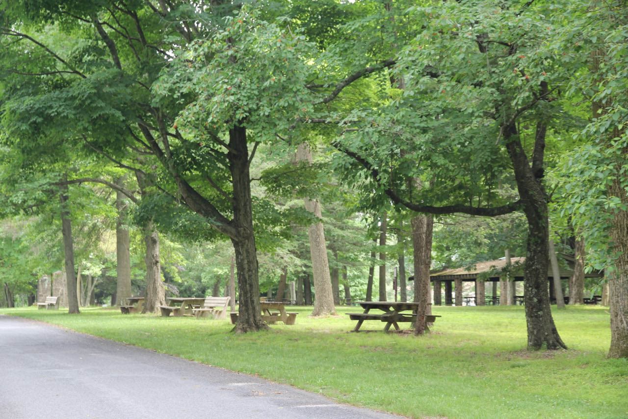 Locations Hub - Washington Crossing State Park - Sullivan Grove Day Use ...