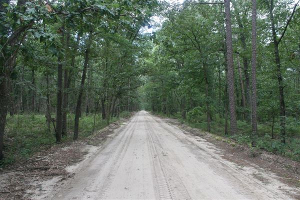 Locations Hub - Wharton State Forest - Washington Turnpike