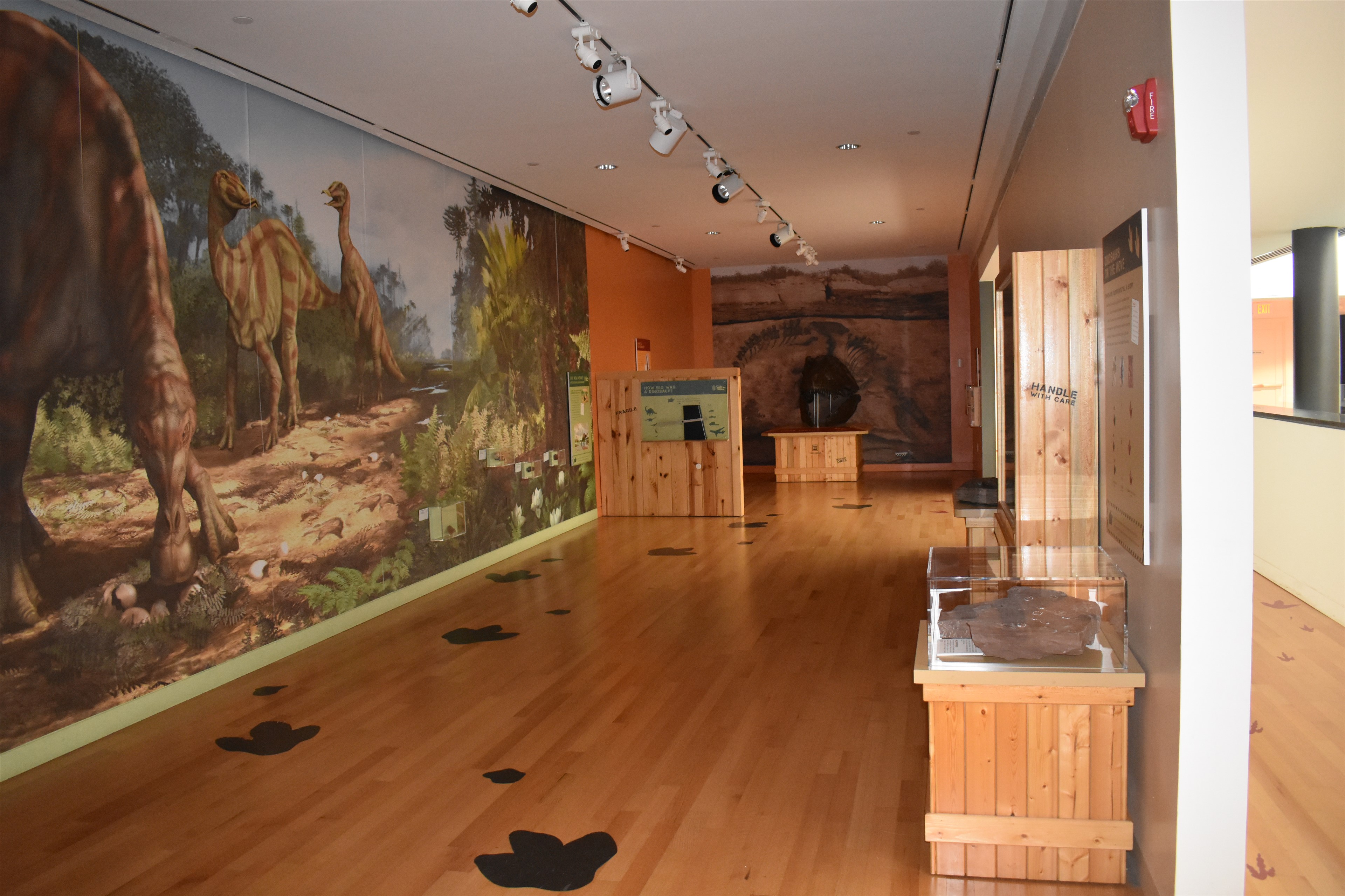 Locations Hub - Morris Museum
