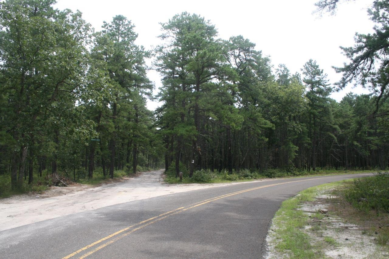 Locations Hub - Wharton State Forest - Washington Turnpike