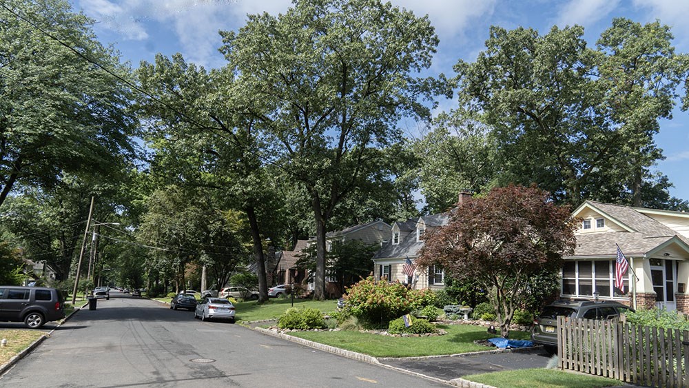 Locations Hub - Fanwood Residential Streets