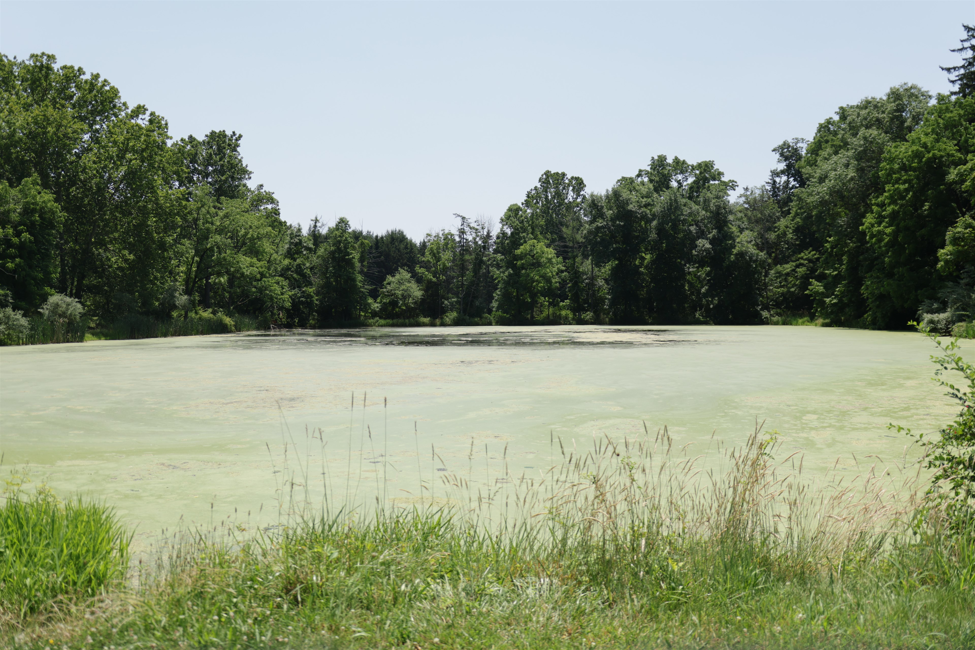 Locations Hub - Echo Hill Park